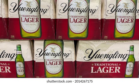 Yuengling Logo Vector
