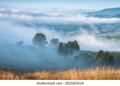 A unique village view covered with fog containing all the colors of 2K ...