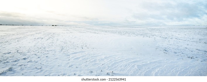 Snow covered Field 4K wallpaper download