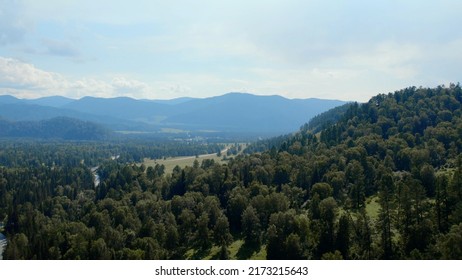 Mountain View From Forest 4K wallpaper download
