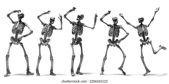 The Skeleton Dancers’ Parade – Glowing skeleton performers march ...