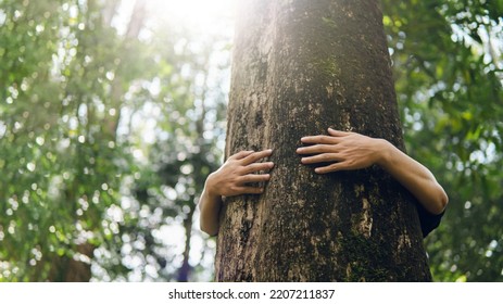 Tree of love HD wallpaper download