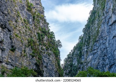 Cliff and a tree 4K wallpaper download