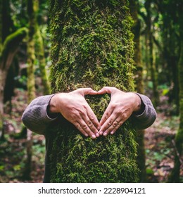 Tree of love HD wallpaper download