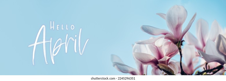 Hello April! HD wallpaper download