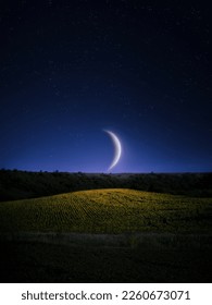 Night summer moon landscape HD wallpaper download