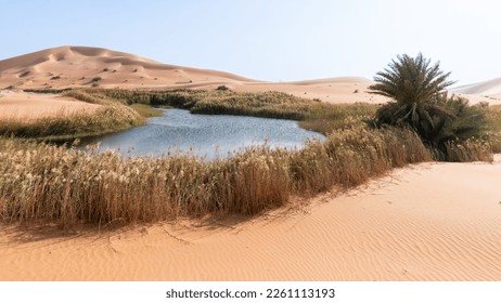 Nature - Desert HD wallpaper download