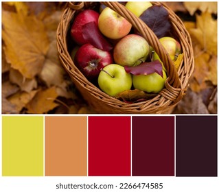 Autumn Colors in Green Pastel HD wallpaper download