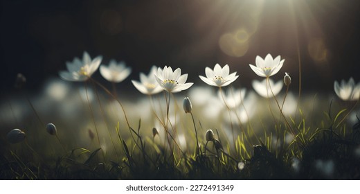 Nature - tiny flower HD wallpaper download