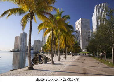 Miami Heat HD wallpaper download