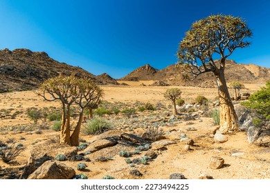 Rock Landscape in the Beach with blue sky 4K wallpaper download