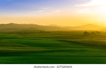 Sunrise Field 4K wallpaper download