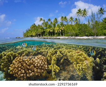 wonderful polynesia view 2K wallpaper download