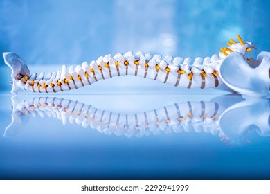Skeleton Background 4K wallpaper download