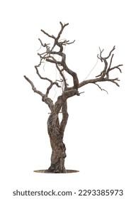 Nature - old tree HD wallpaper download