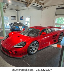 Saleen Logo Png