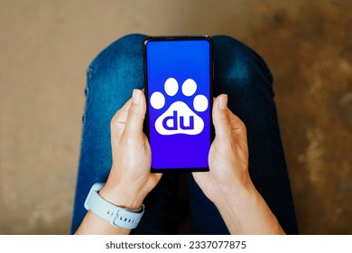 Baidu Icon