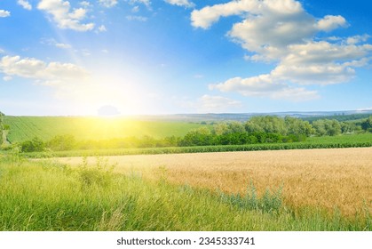 Rising Sun Beam 4K wallpaper download