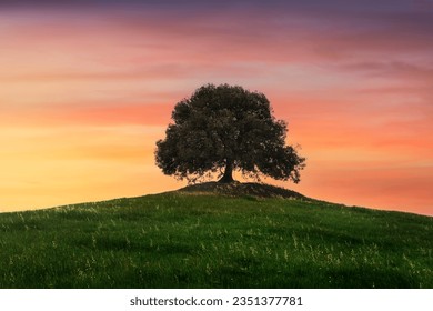 colina del atardecer 4K descarga de fondo de pantalla