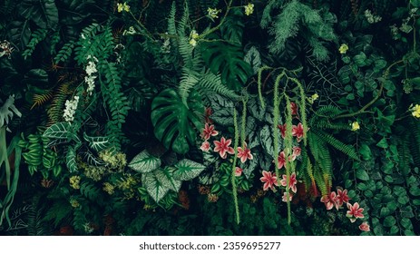 Beautiful greenery background 2K wallpaper download
