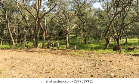 Original - Sitting on Roadside HD wallpaper download