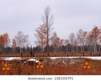 Red Forest. HD wallpaper download