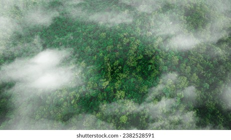 River and forest accompanied by clouds 2K wallpaper download