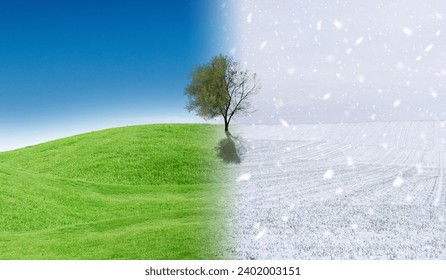 Outdoors view of trees and grass in natural green colors of summer 2K ...
