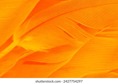 Fantasy Phoenix Sunset HD wallpaper download