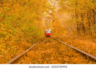 Train track and tunnel with fall red yellow leaves 4K wallpaper download