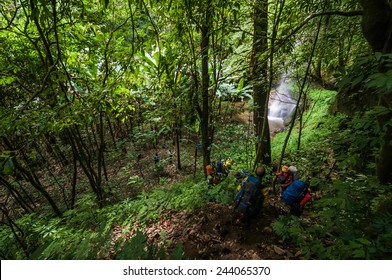 Retiro na Floresta no Outono: Rede, Piquenique e Fogueira à Beira do ...