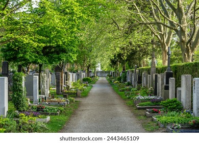 Grave HD wallpaper download