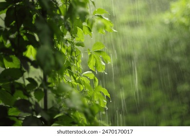 Nature greenery background 2K wallpaper download