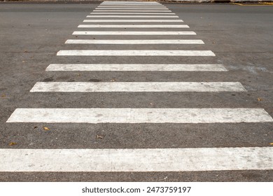 Road Crossing HD wallpaper download