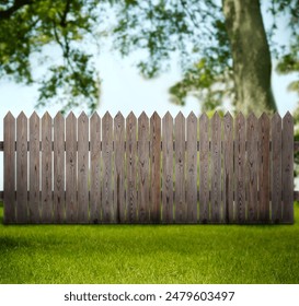 Beautiful backyard HD wallpaper download