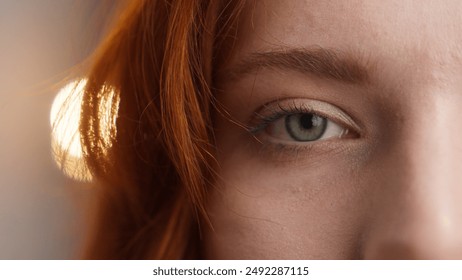 Close-up look HD wallpaper download