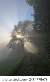 Rising Sun Beam 4K wallpaper download