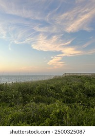 Greenery in the beach 2K wallpaper download