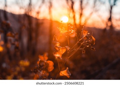 Autumn Feeling 4K wallpaper download