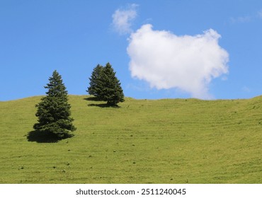 Alone in Unknown Hill 2K wallpaper download