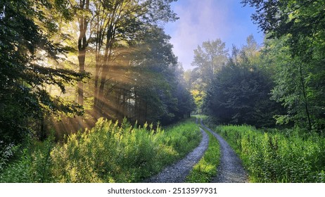 Mountain Sun Rays 4K wallpaper download