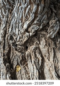 Abstract - Quadrant 4K wallpaper download
