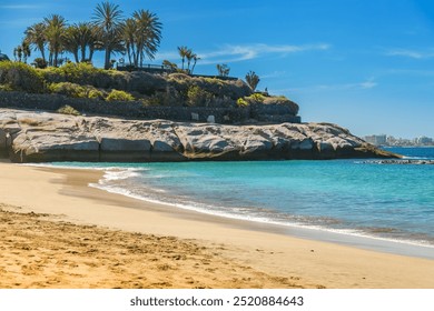 Greenery in the beach 2K wallpaper download