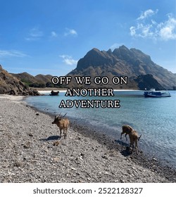 Another Adventure 2K wallpaper download