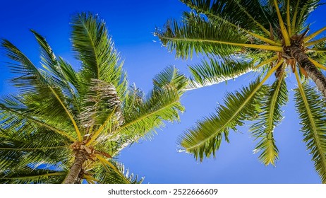Calm Breeze 2K wallpaper download