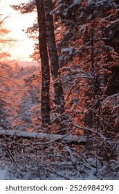 Cold Sunset 4K wallpaper download