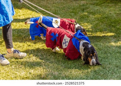 Bloodhound At The Castle HD wallpaper download