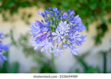bundle of green flowers 2K wallpaper download