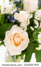 Flower of Grace 2K wallpaper download