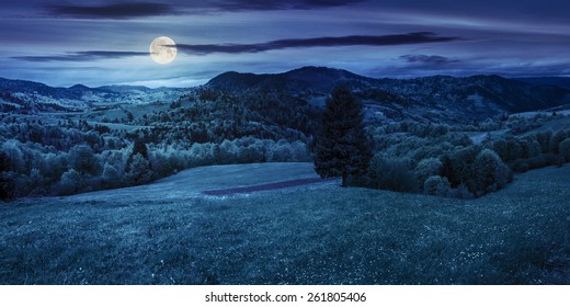Night hill top 2K wallpaper download